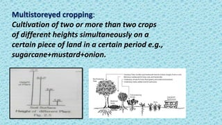 Cropping pattern and cropping system | PPTX