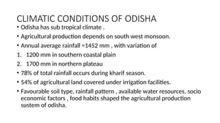CROPPING PATTERN OF ODISHA by agriculyure.pptx