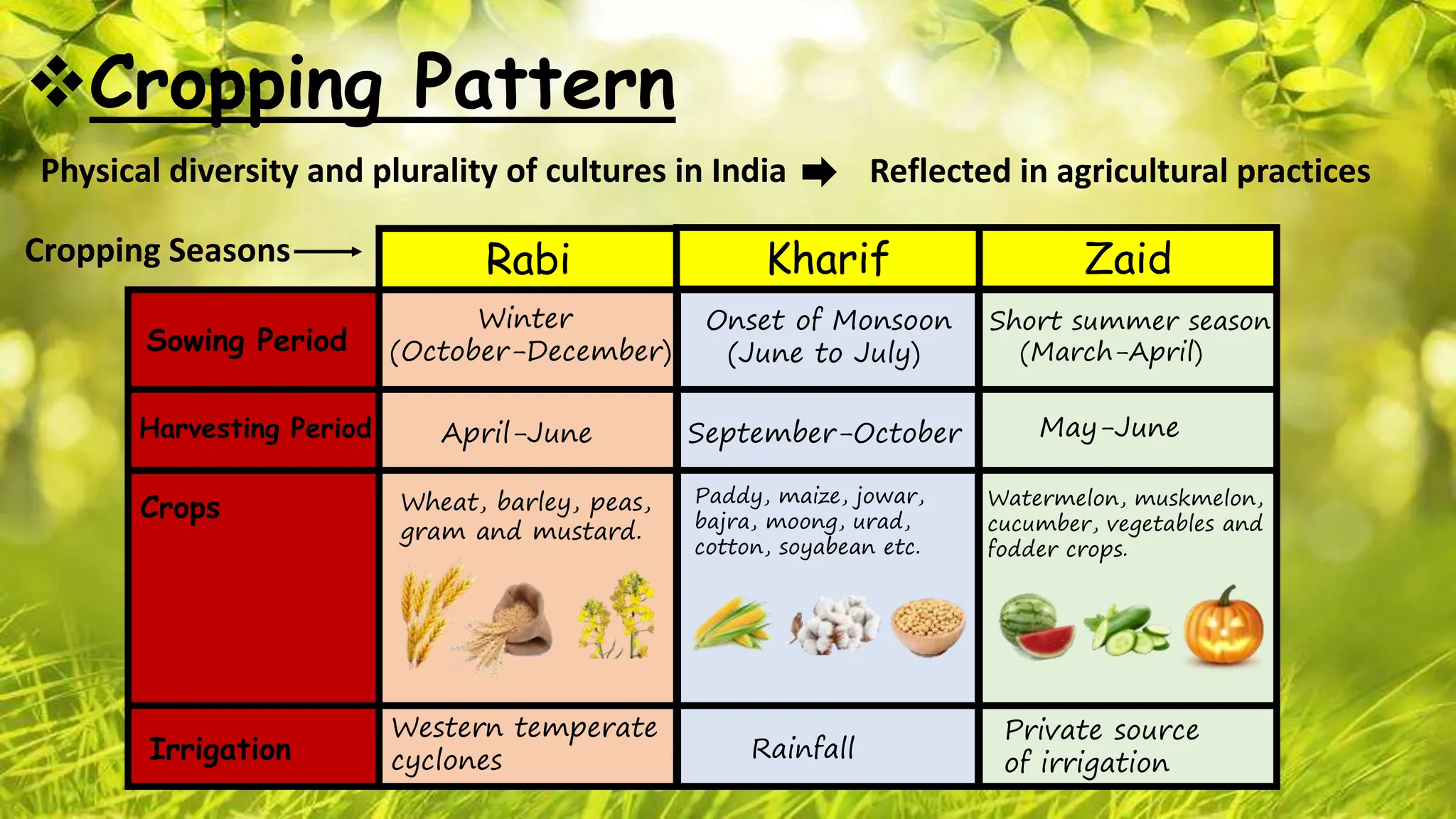 Cropping Patterns and Major Crops.pptx