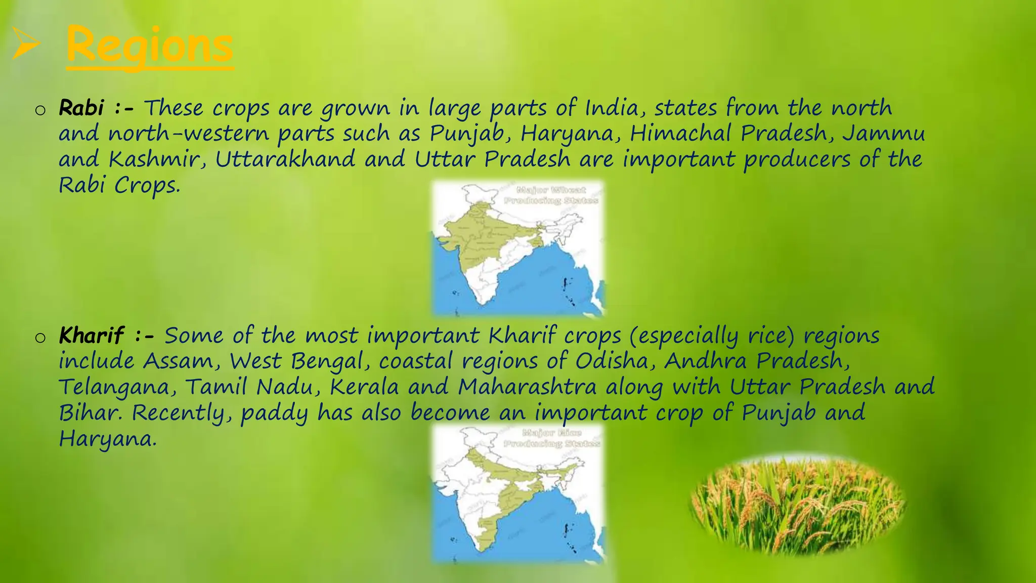 Cropping Patterns and Major Crops.pptx