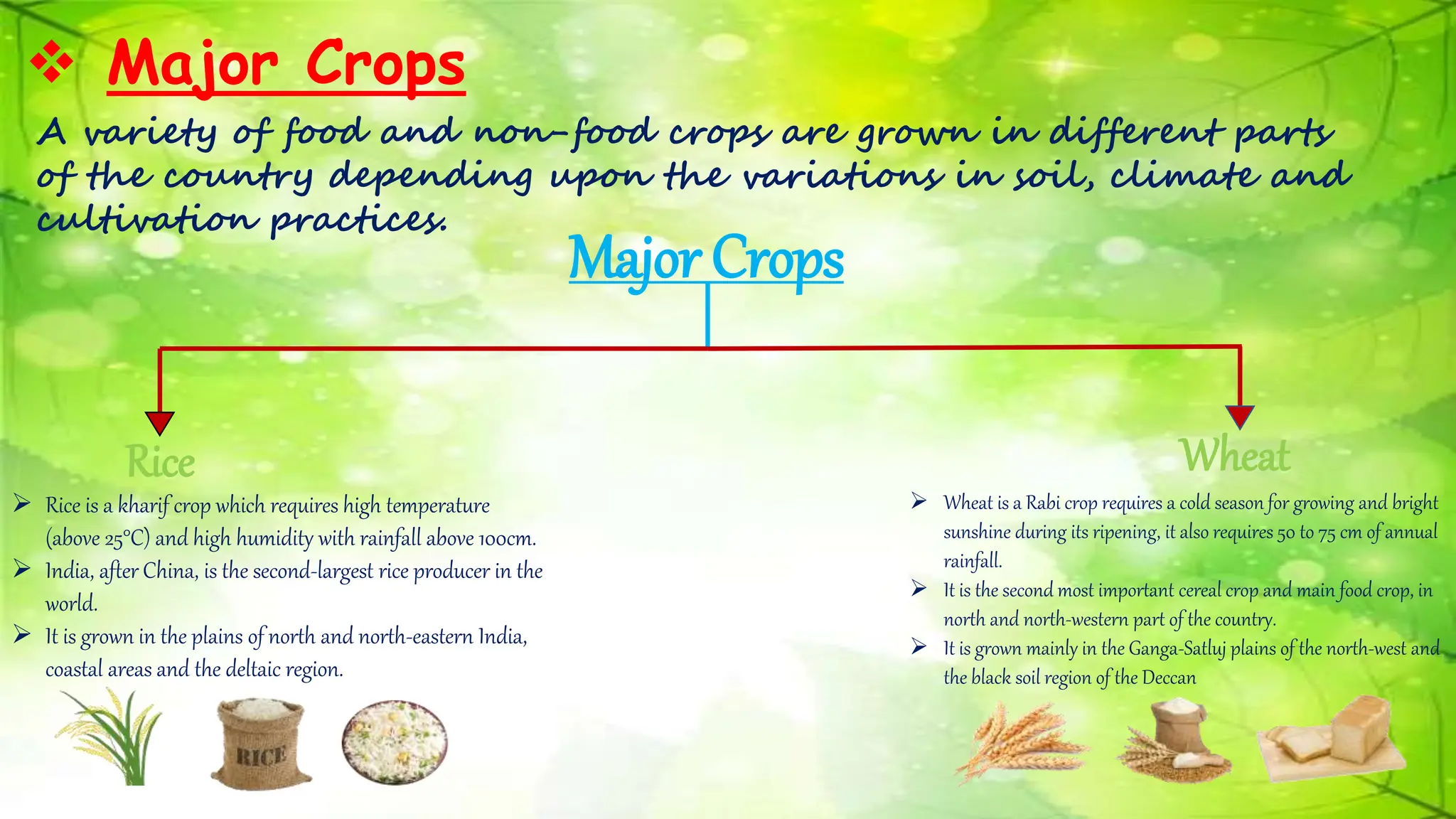 Cropping Patterns and Major Crops.pptx