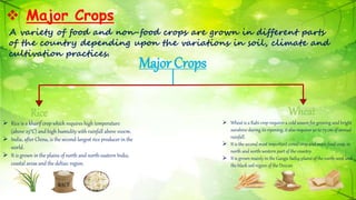 Cropping Patterns and Major Crops.pptx