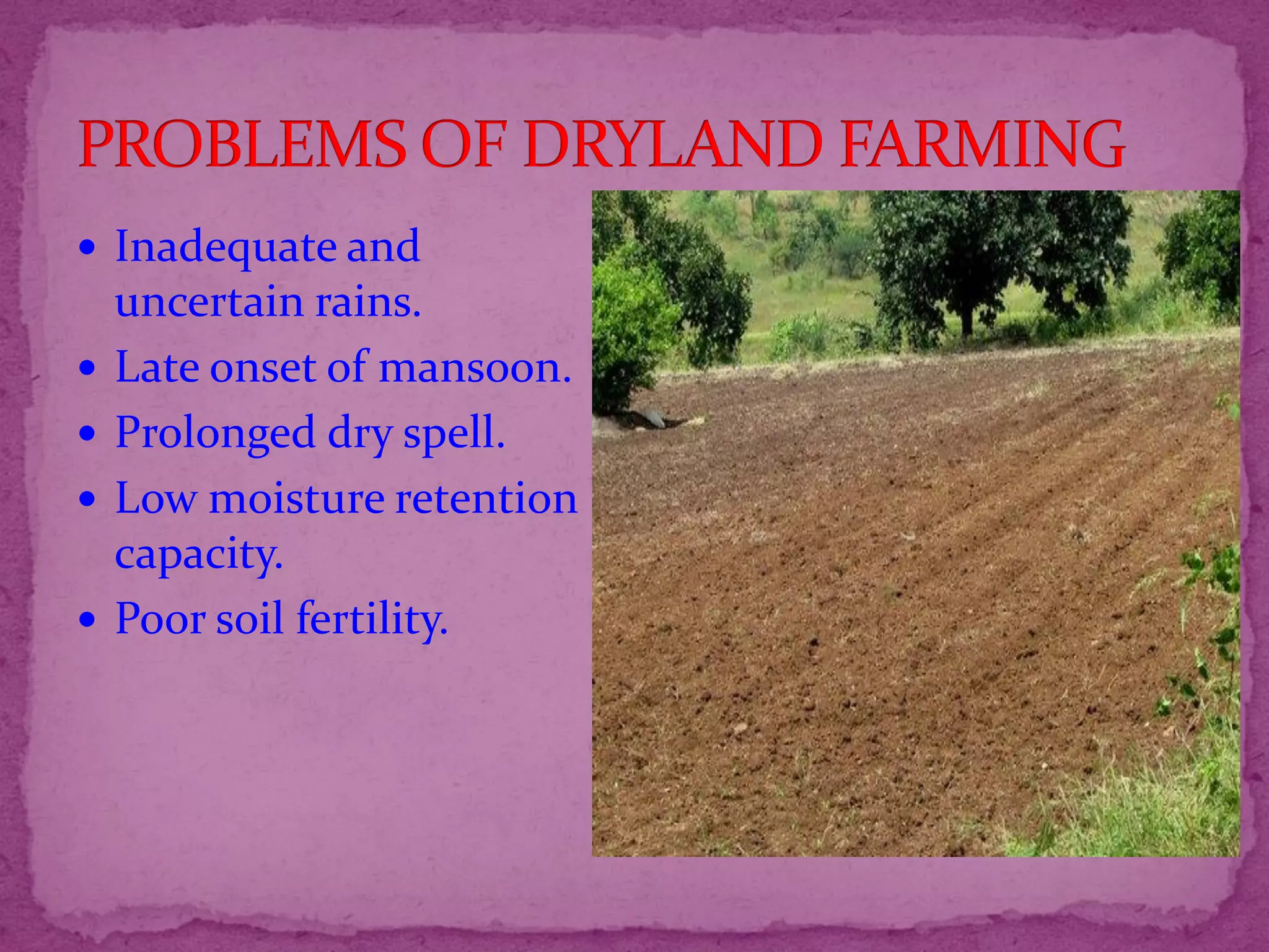 Cropping schemes for dryland situation | PDF