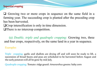 Cropping systems in vegetables | PPTX