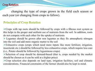 Cropping systems in vegetables | PPTX