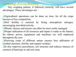 Cropping systems in vegetables | PPTX