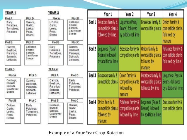 3 Year Crop Rotation Plan