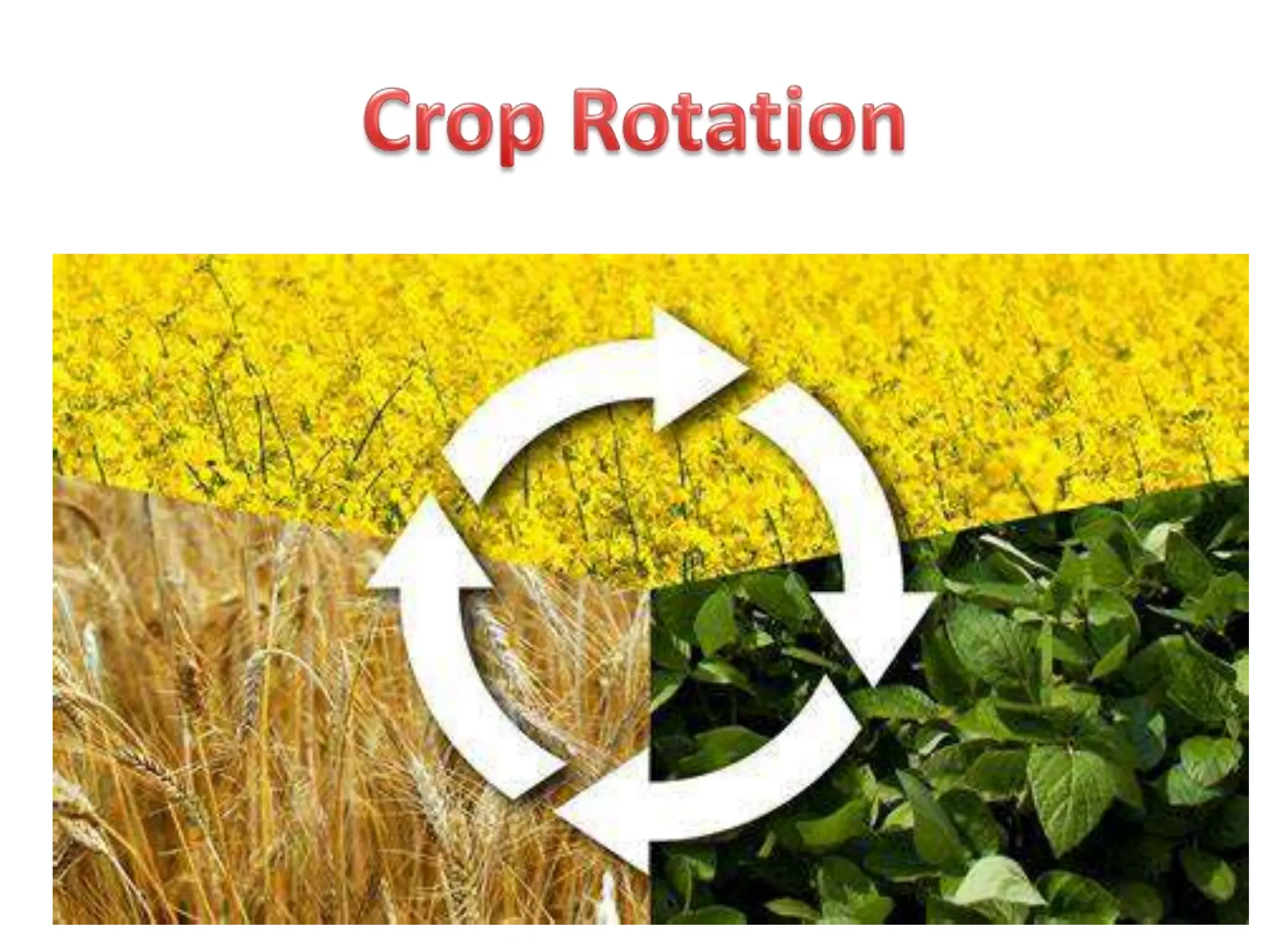 cropping system.pptx which is useful for b. com, students | PPTX