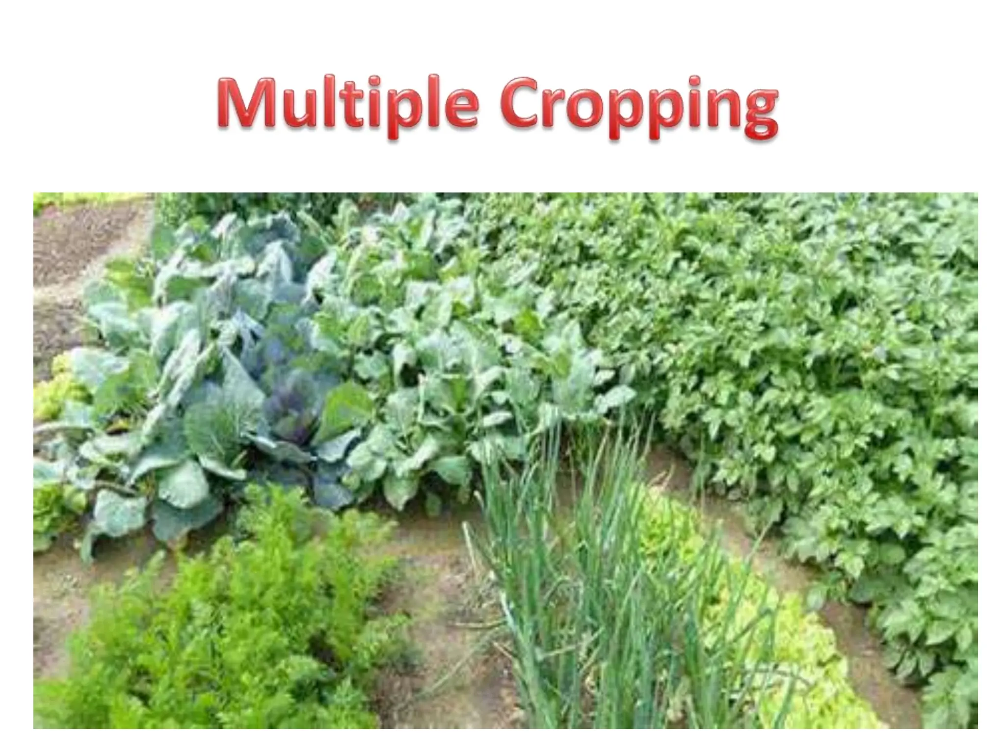 cropping system.pptx which is useful for b. com, students | PPTX
