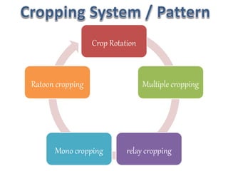 cropping system.pptx which is useful for b. com, students | PPT