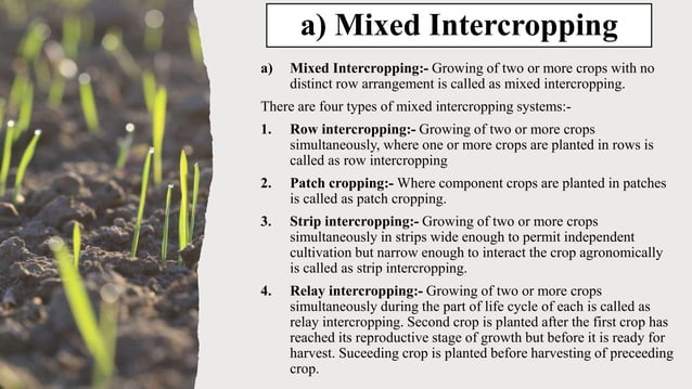 Cropping System and types of cropping system | PPTX