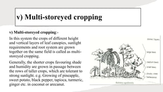 Cropping System and types of cropping system | PPTX