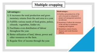 Cropping System and types of cropping system | PPTX