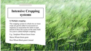 Cropping System and types of cropping system | PPTX