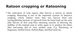 Different types of Cropping system in India | PPTX