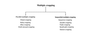 Different types of Cropping system in India | PPTX