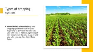Different types of Cropping system in India | PPTX