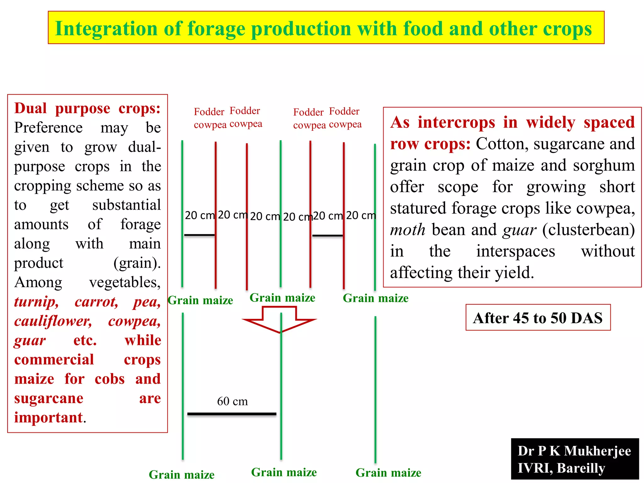 Cropping system pijush kanti mukherjee (icar-ivri) | PDF