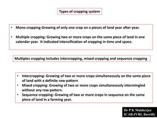 Cropping system pijush kanti mukherjee (icar-ivri) | PDF