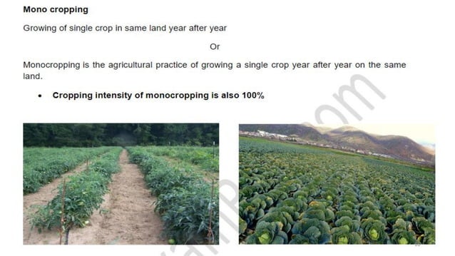 Cropping System and cropping Pattern PDF (1).pdf