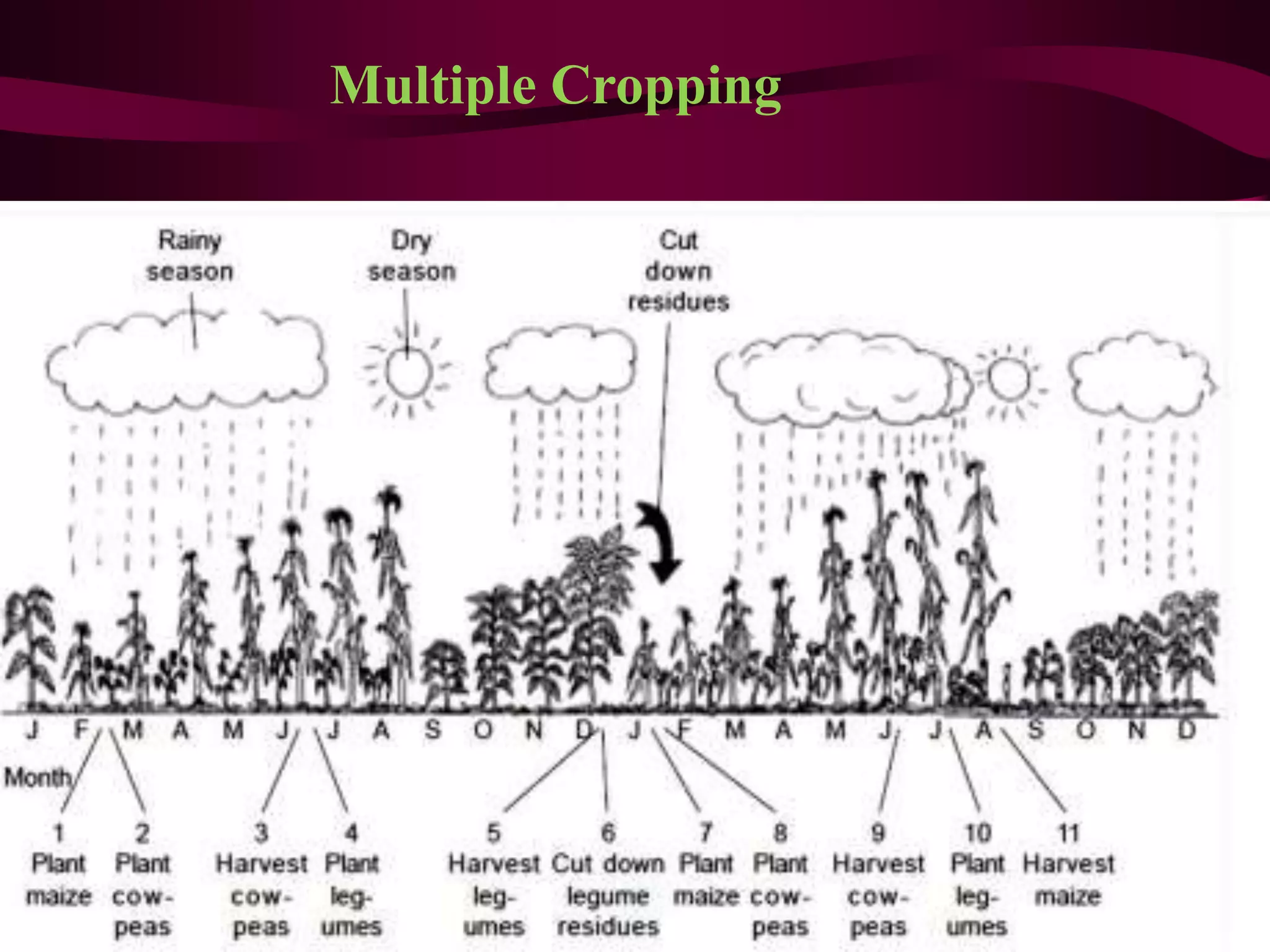 Cropping system ppt 1 | PPTX