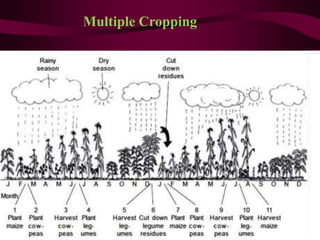 Cropping system ppt 1 | PPTX