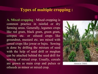 Cropping system ppt 1 | PPTX