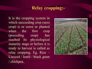 Cropping system ppt 1 | PPTX