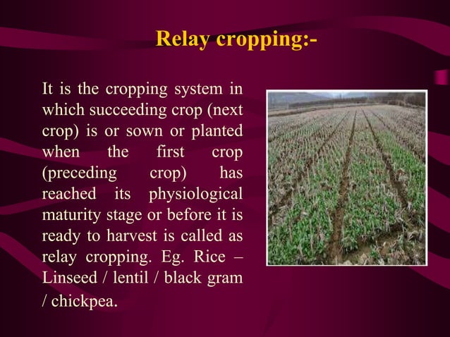 Cropping system ppt 1 | PPTX | Agriculture | Industries
