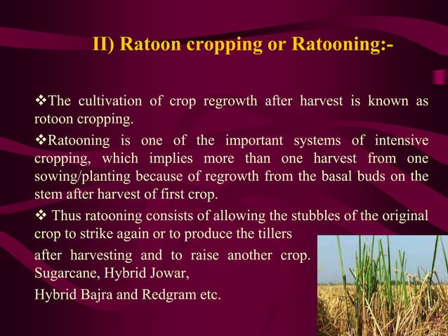 Cropping system ppt 1 | PPTX | Agriculture | Industries