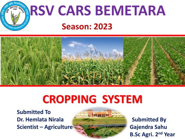 Cropping Systems.pptx | Agriculture | Industries