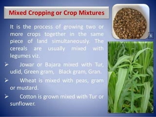 Cropping Systems.pptx