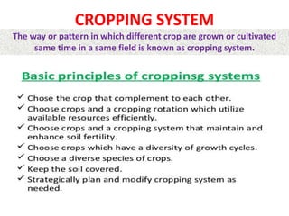 Cropping Systems.pptx