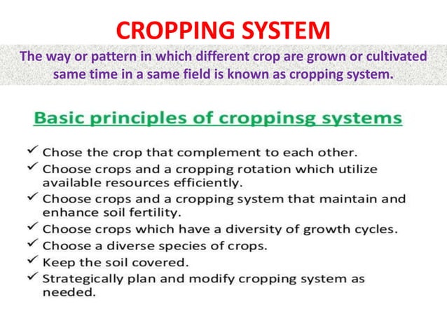 Cropping Systems.pptx | Agriculture | Industries