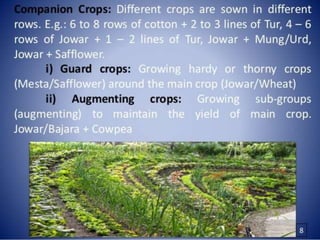 Cropping Systems.pptx