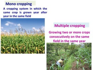 Cropping Systems.pptx