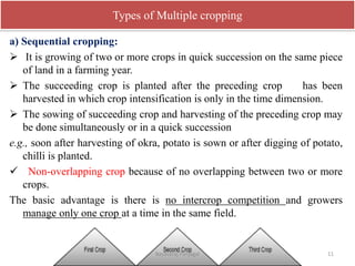 vegetable based cropping systems | PDF