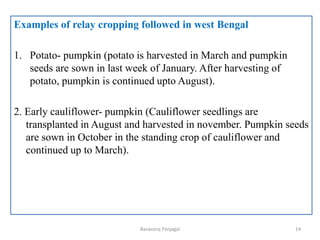 vegetable based cropping systems | PDF