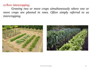 vegetable based cropping systems | PDF