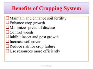 vegetable based cropping systems | PDF