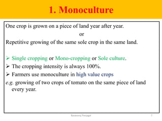 vegetable based cropping systems | PDF