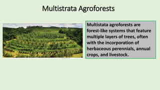Cropping Systems | PPTX