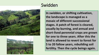 Cropping Systems | PPTX