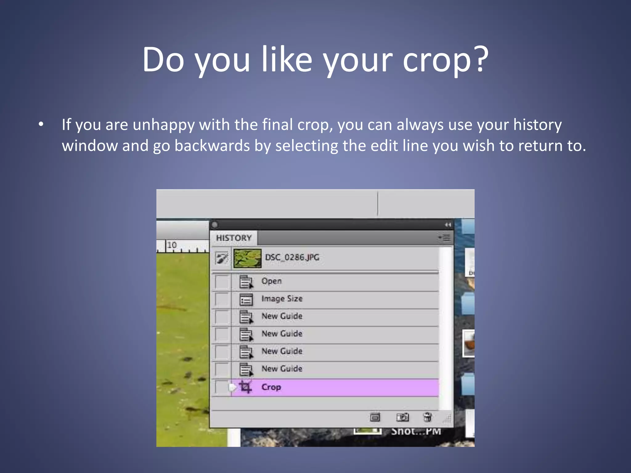 Cropping Tutorial One: The Crop Tool | PPTX