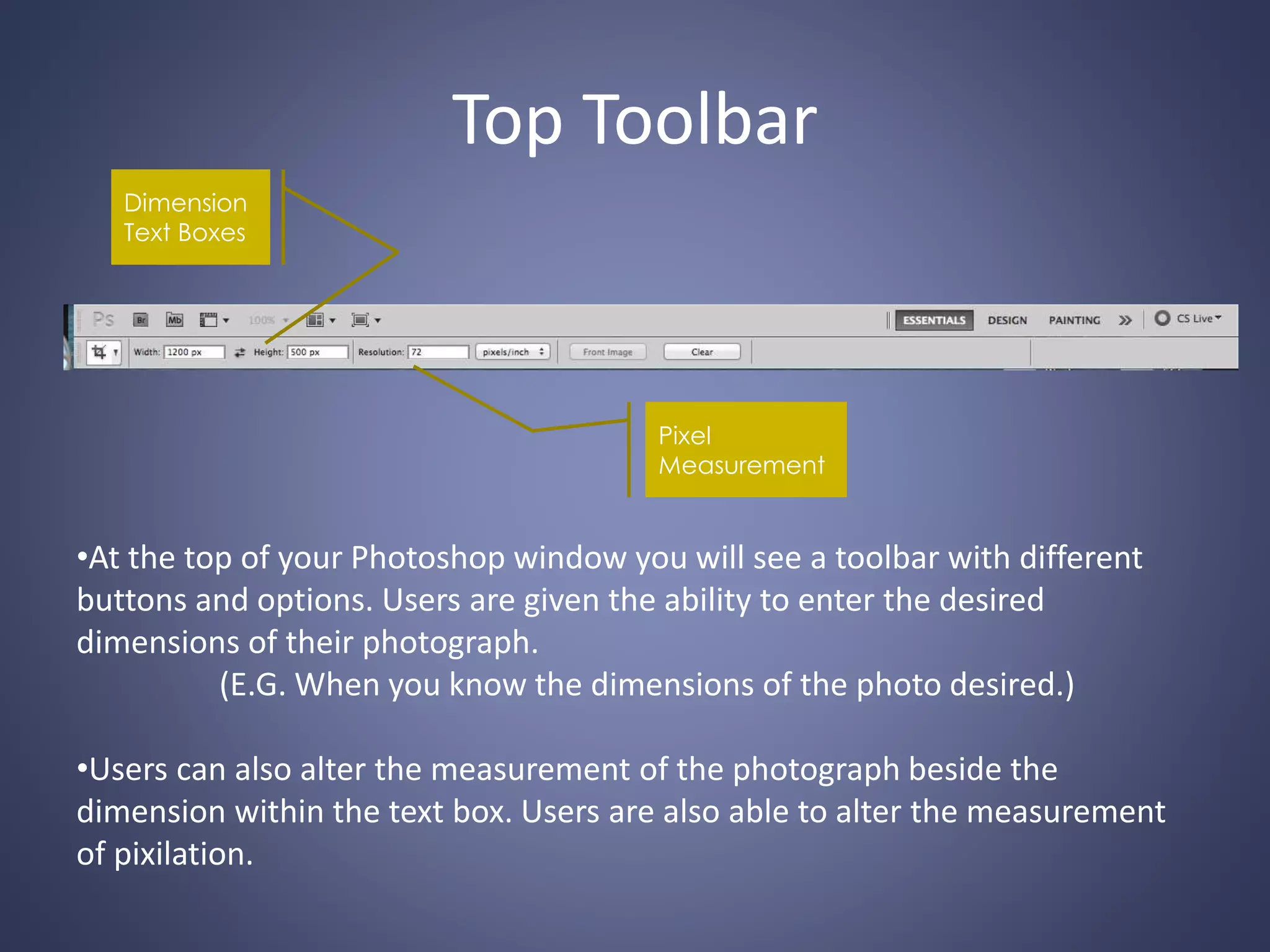 Cropping Tutorial One: The Crop Tool | PPTX