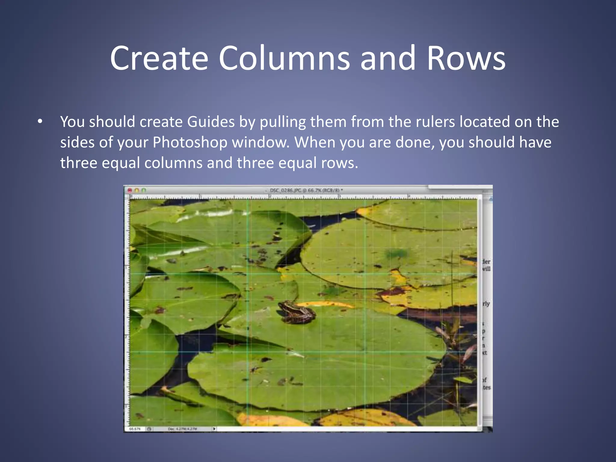 Cropping Tutorial One: The Crop Tool | PPTX