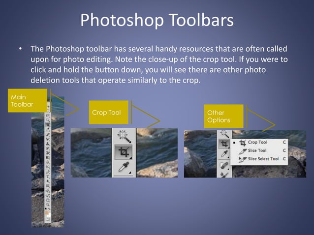 Cropping Tutorial One The Crop Tool Ppt 