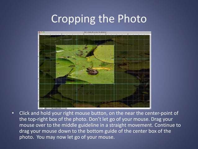 Cropping Tutorial One The Crop Tool Ppt 