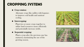 Crop planning for dry farming in agronomy | PPTX
