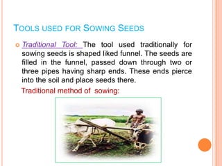 Crop procuction and management | PPTX